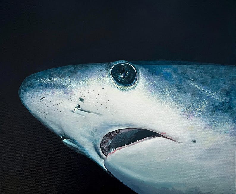 Bigeye Thresher Shark - Painting on Canvas Shark Sea Creature - Etsy