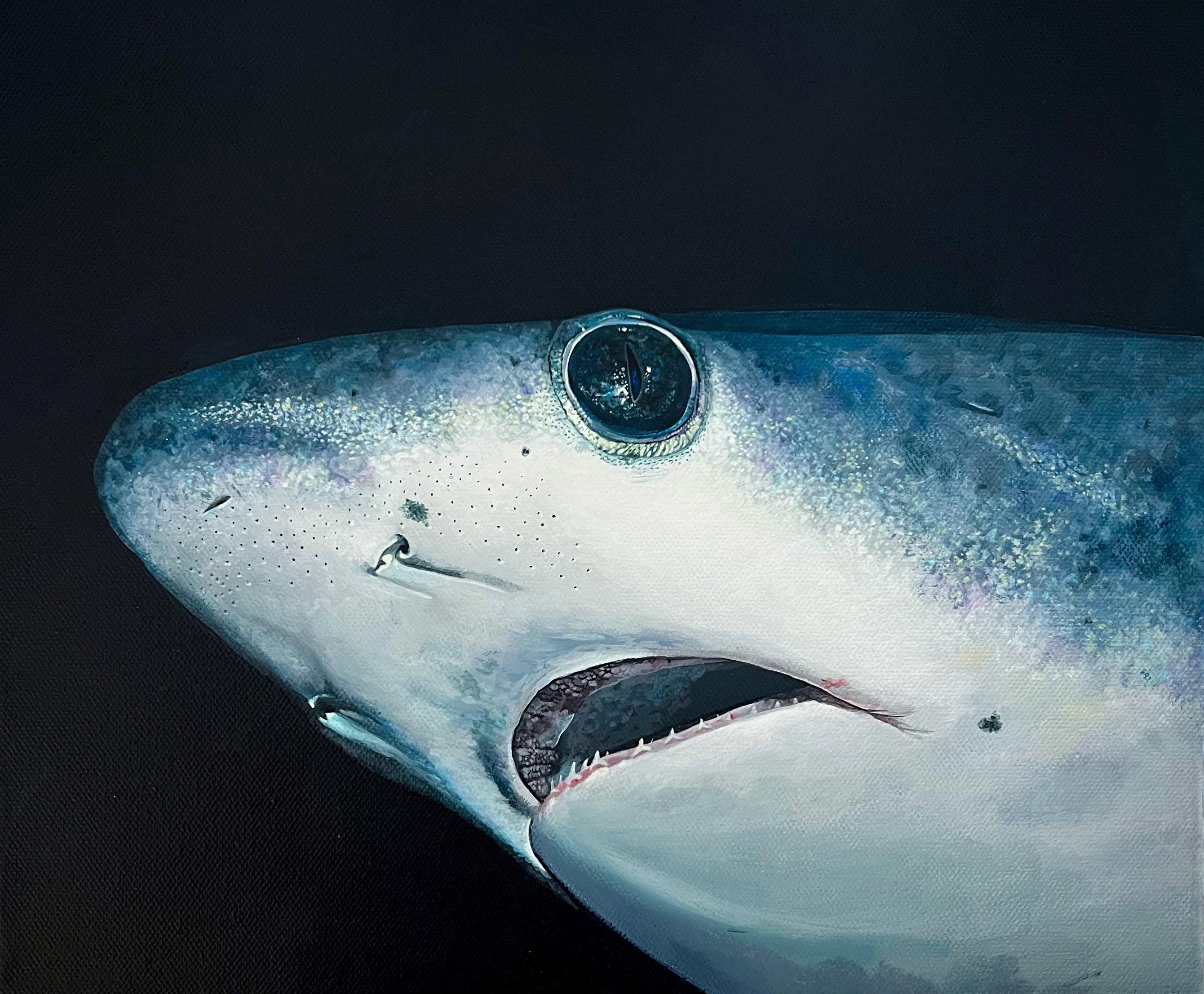 Bigeye Thresher Shark - Painting on Canvas Shark Sea Creature - Etsy