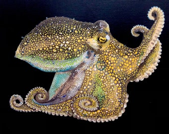 Rainbow Black Octopus Painting - Etsy