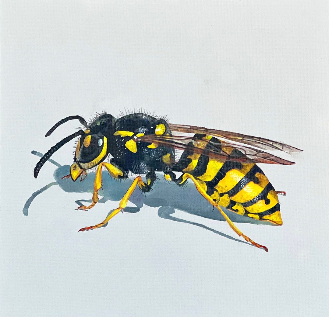 Wasp Painting - Mini Canvas Painting Insect Art - Etsy