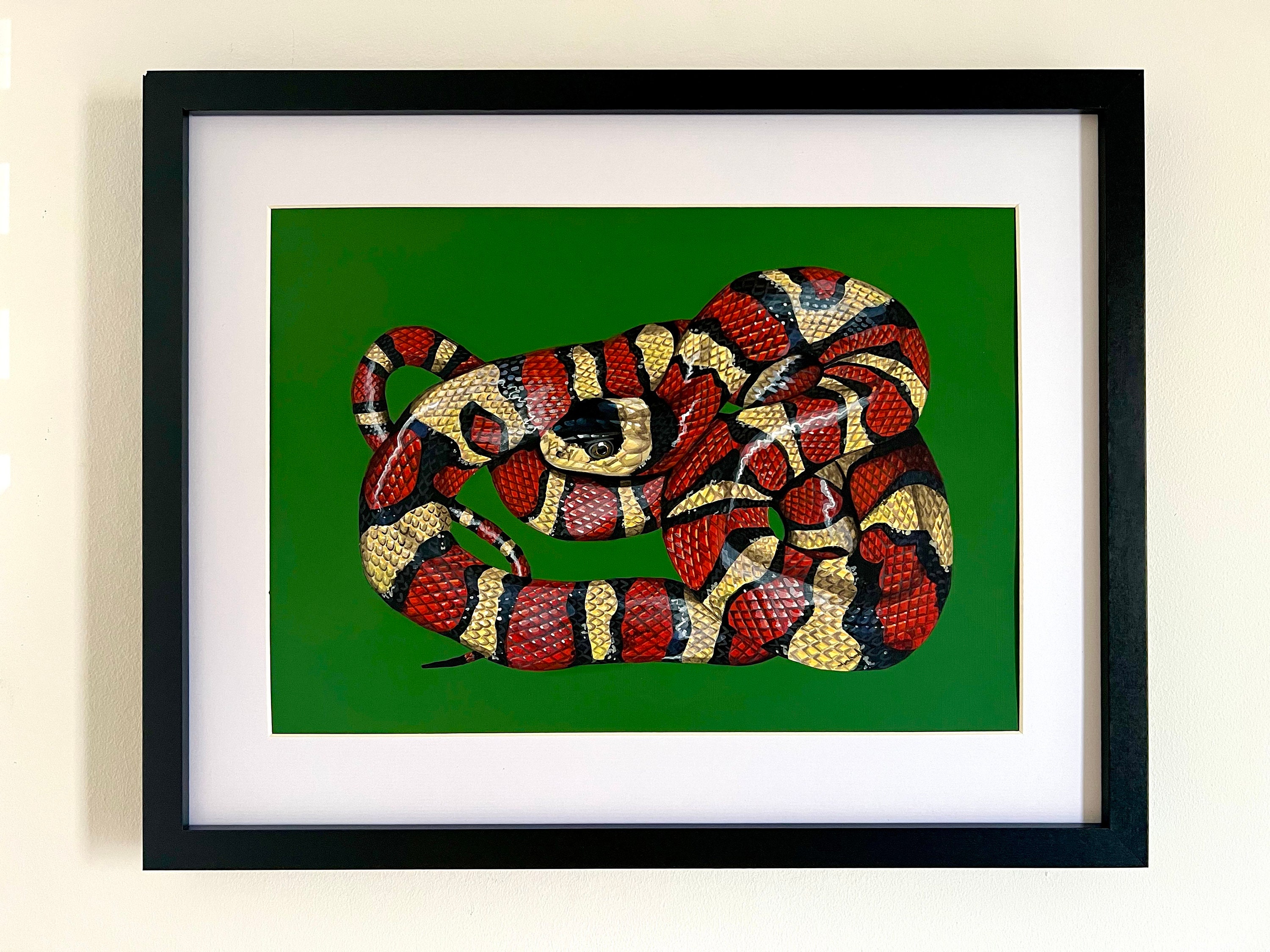 Milk Snake - Acrylic Painting of a Stripy Snake Reptile Serpentine A4 ...