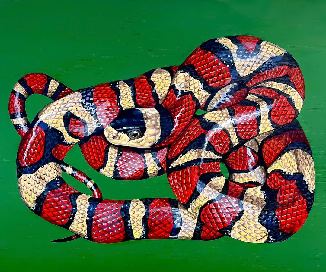 Milk Snake - Acrylic Painting of a Stripy Snake Reptile Serpentine A4 ...