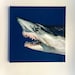 Mako Shark Painting: Original Acrylic Canvas Art (50cm X 50cm) - Etsy