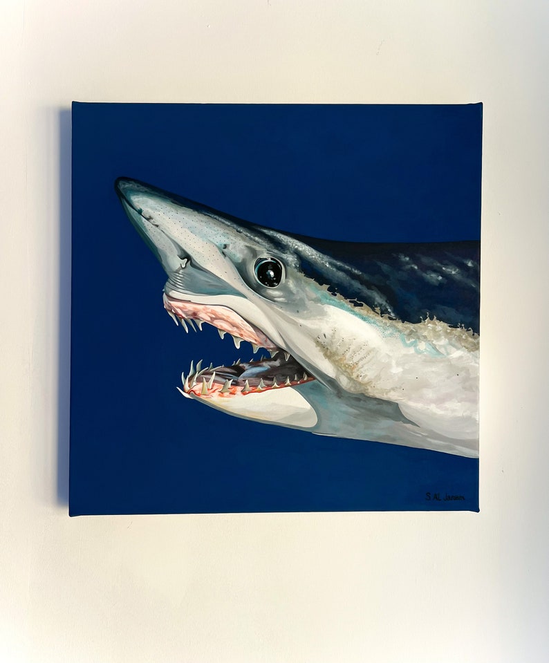 Mako Shark Painting: Original Acrylic Canvas Art (50cm X 50cm) - Etsy