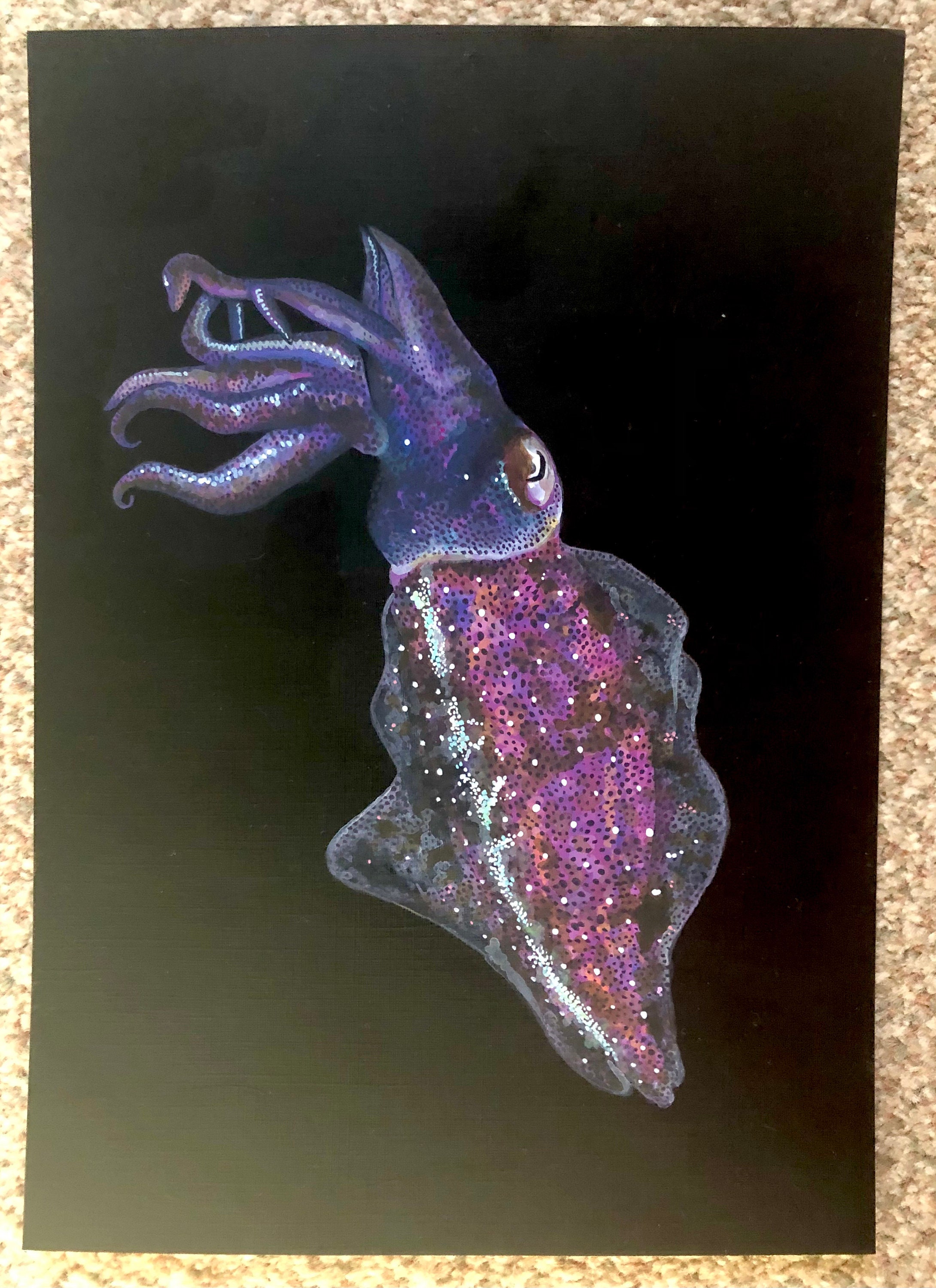 Caribbean Reef Squid (purple) - A4 Size Nautical Ocean Sealife Acrylic ...