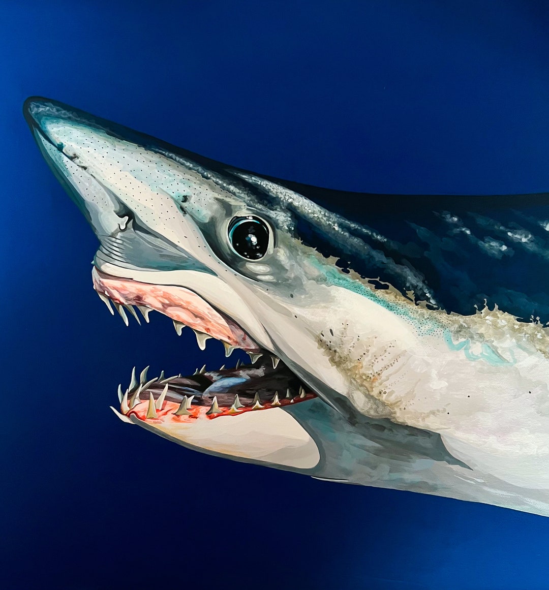 Mako Shark Canvas Painting - Shark Lover Original Acrylic Painting - Etsy