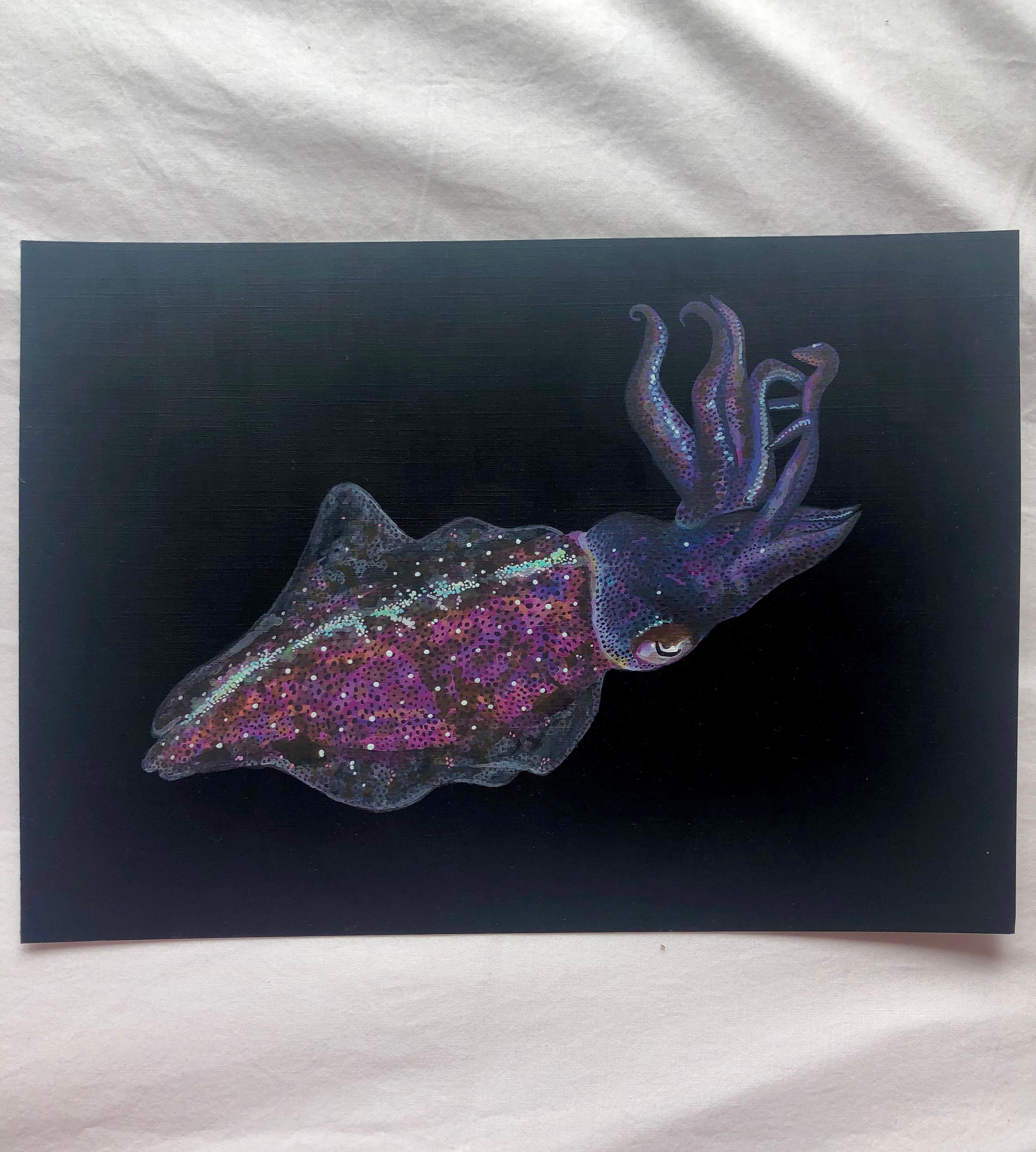Caribbean Reef Squid (purple) - A4 Size Nautical Ocean Sealife Acrylic ...