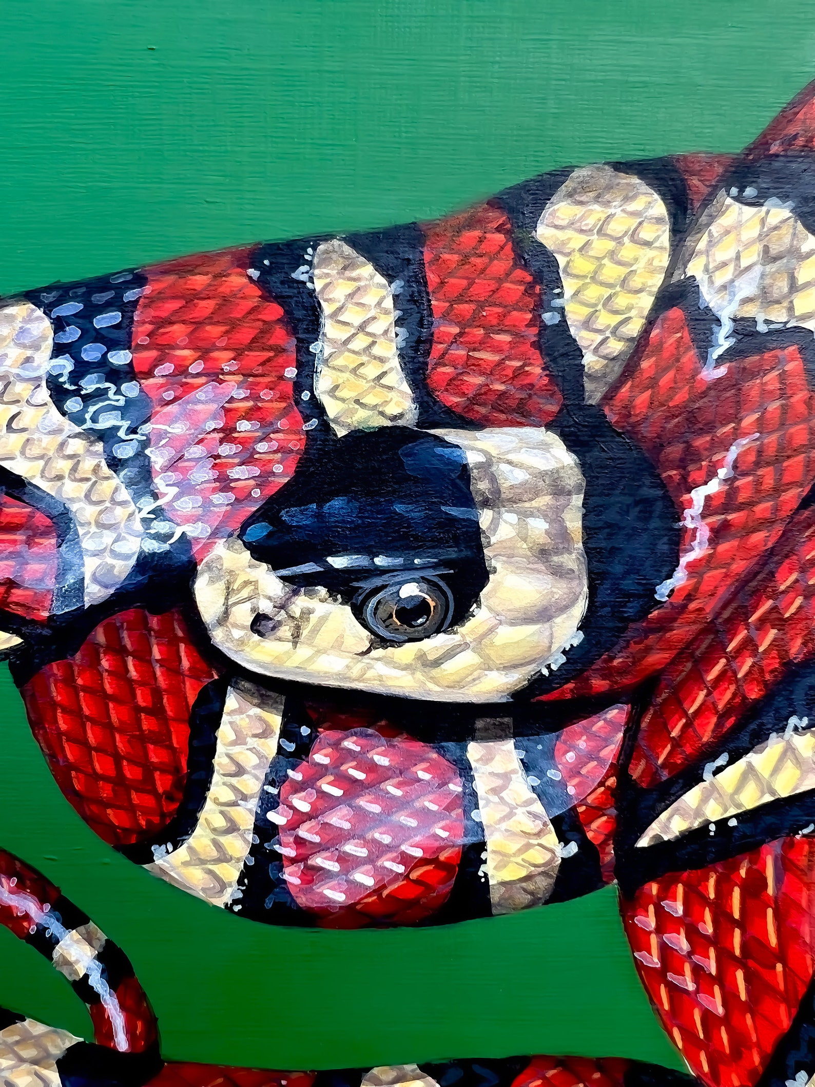 Milk Snake - Acrylic Painting of a Stripy Snake Reptile Serpentine A4 ...