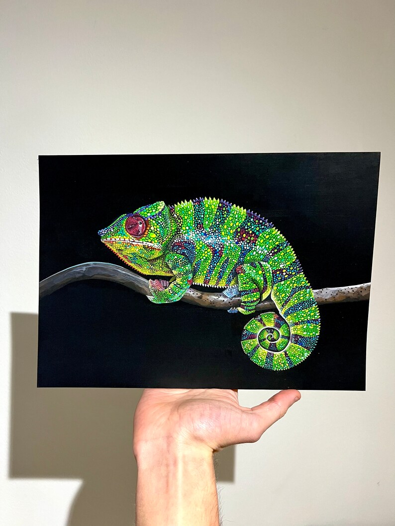 Chameleon Acrylic Painting on Paper - Colourful Lizard Reptile Snake ...