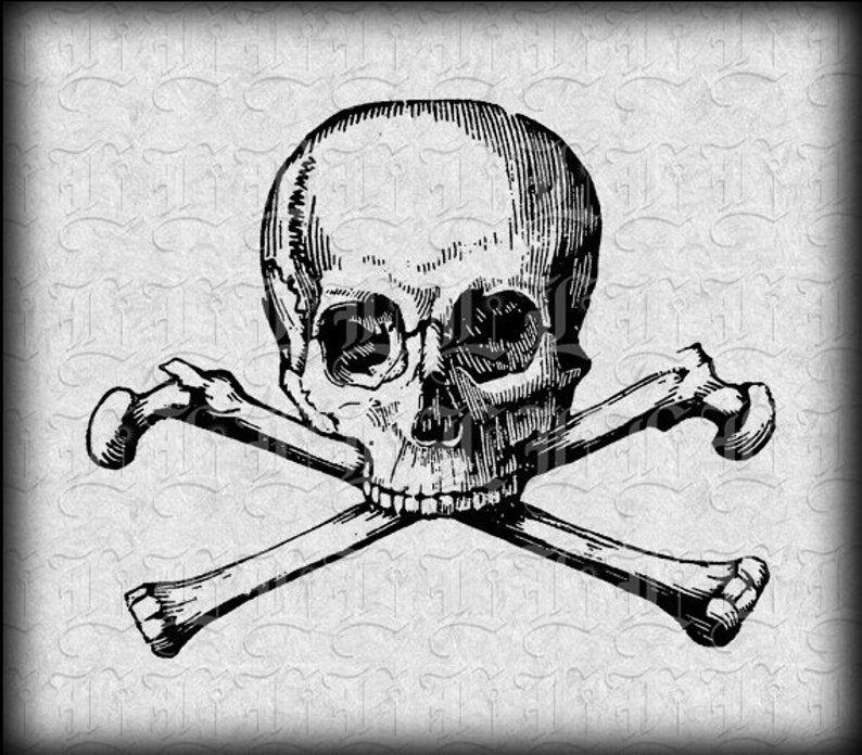 Poison Skull Image Digital Skull Graphic Illustration - Etsy