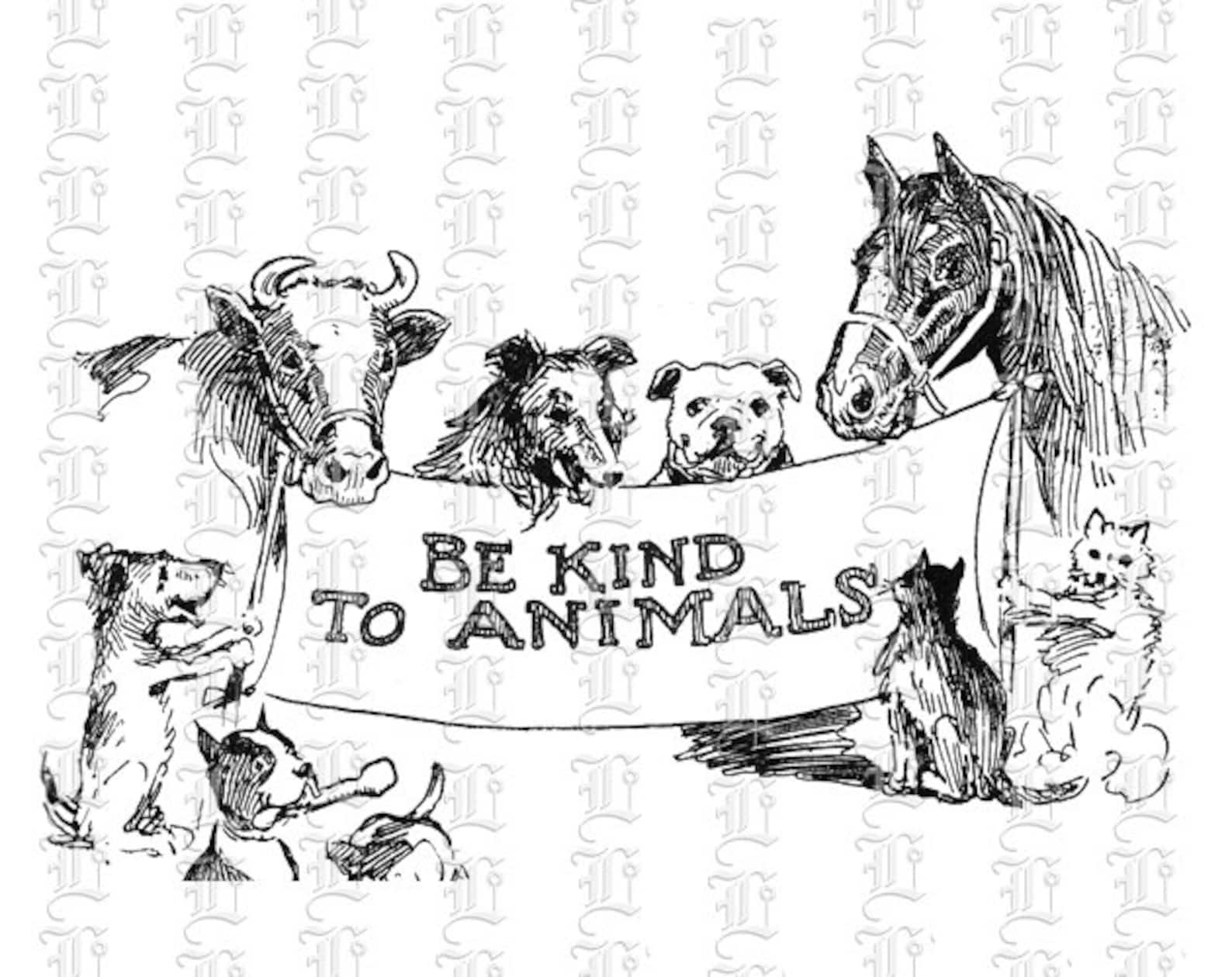 Animal Rights Welfare Protection Campaign Message Clip Art - Etsy