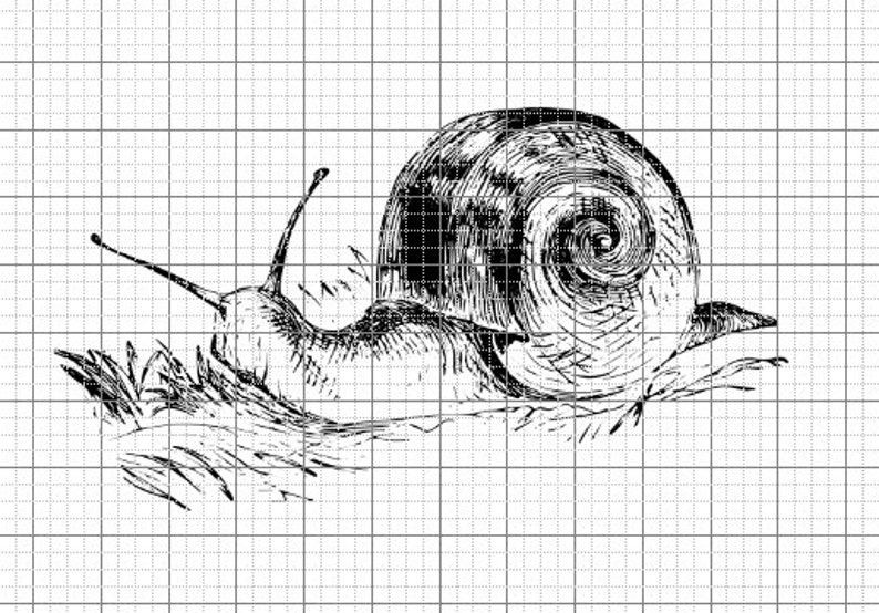 Cute Snail Line Drawing Illustration Vintage Printable Graphic - Etsy