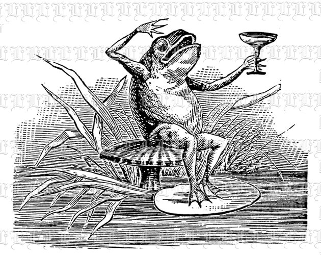 Victorian Frog Toast Clip Art: Humorous Comic Illustration (digital ...