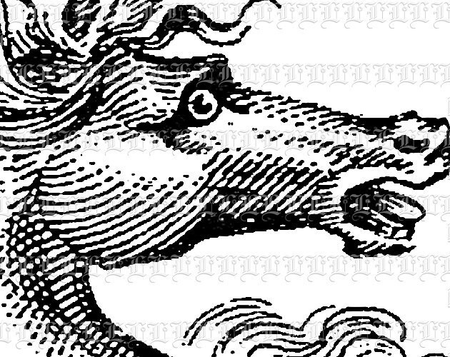 Herald Symbol Mythical Creature Horse Fish Digital Vintage - Etsy