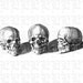 Three Skulls Image Human Skulls Graphic Digital Skulls - Etsy