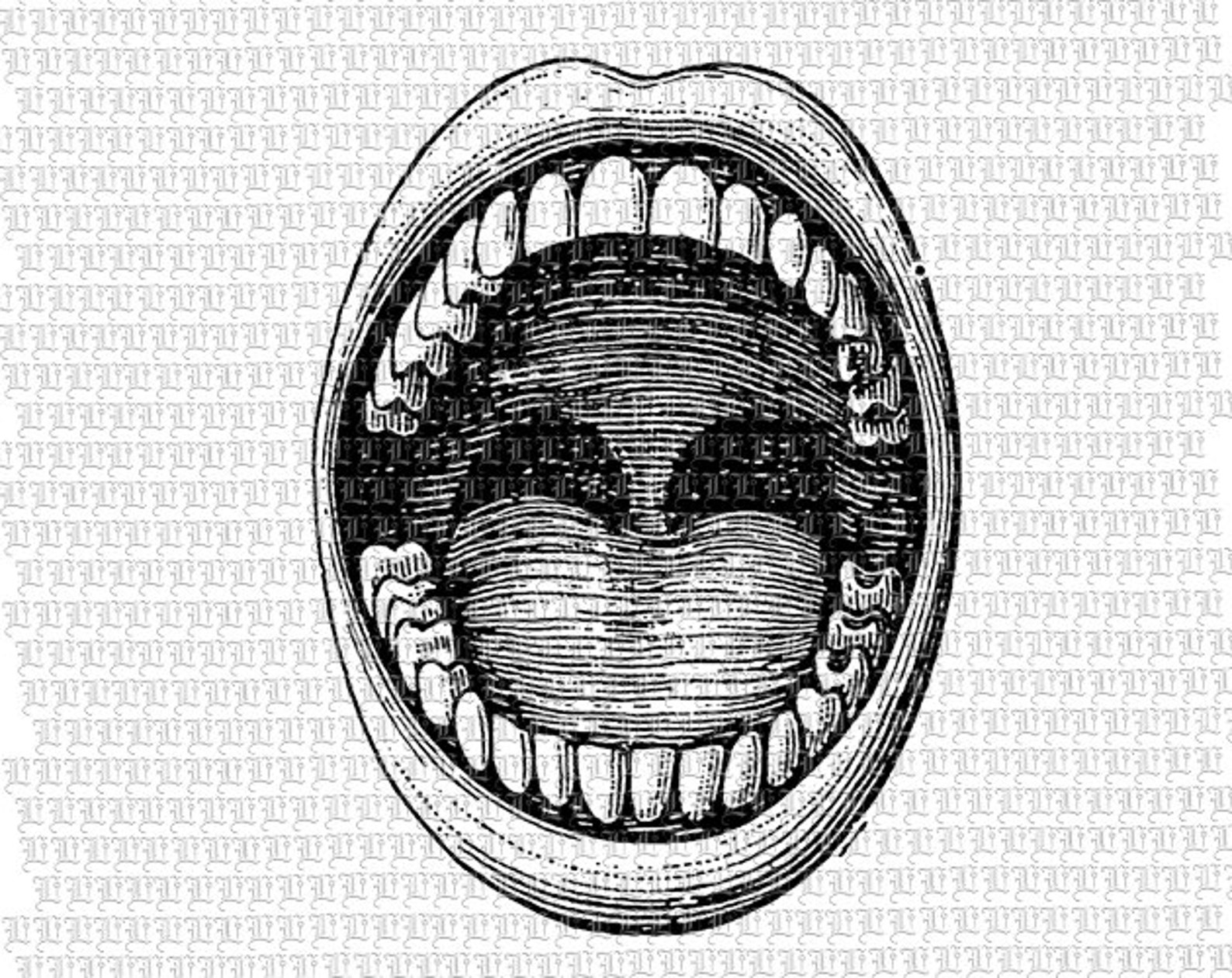 Open Mouth Dentist Teeth Graphic High Quality Digital Image | Etsy