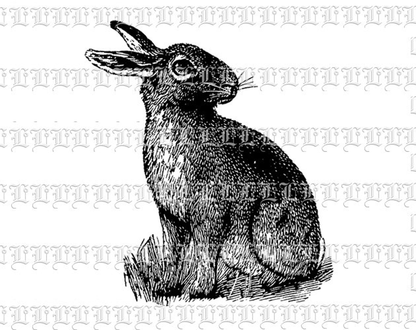 Clip Art Bunny Rabbit Antique Clip Art Vintage Black White ...