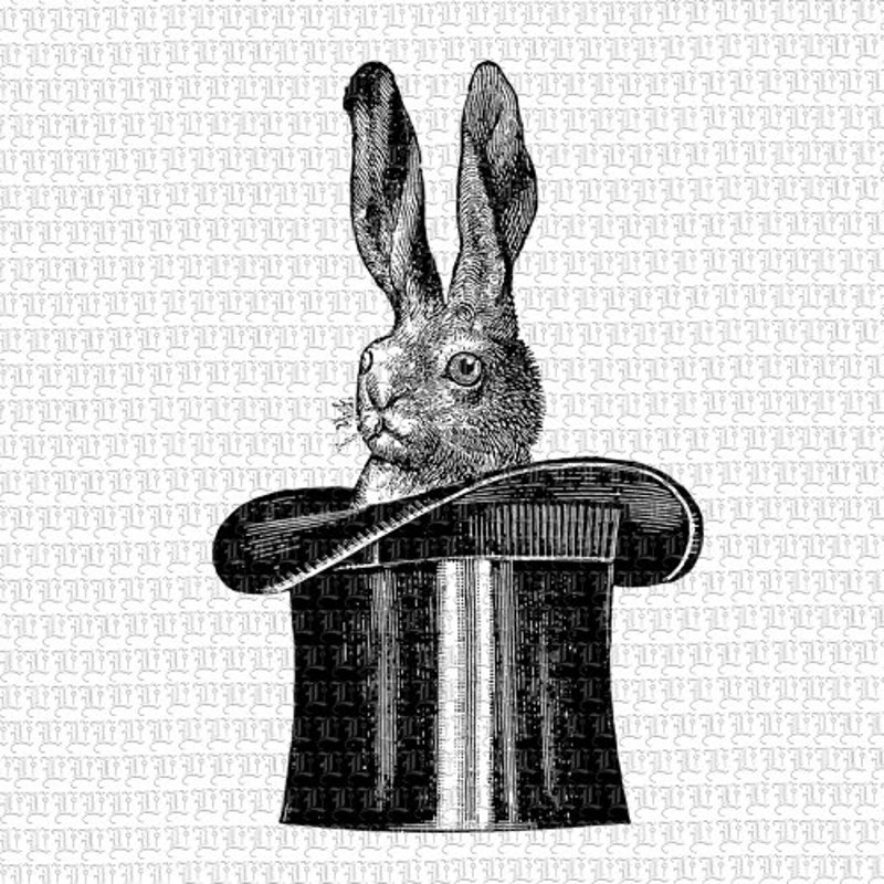 White Rabbit Top Hat - Etsy