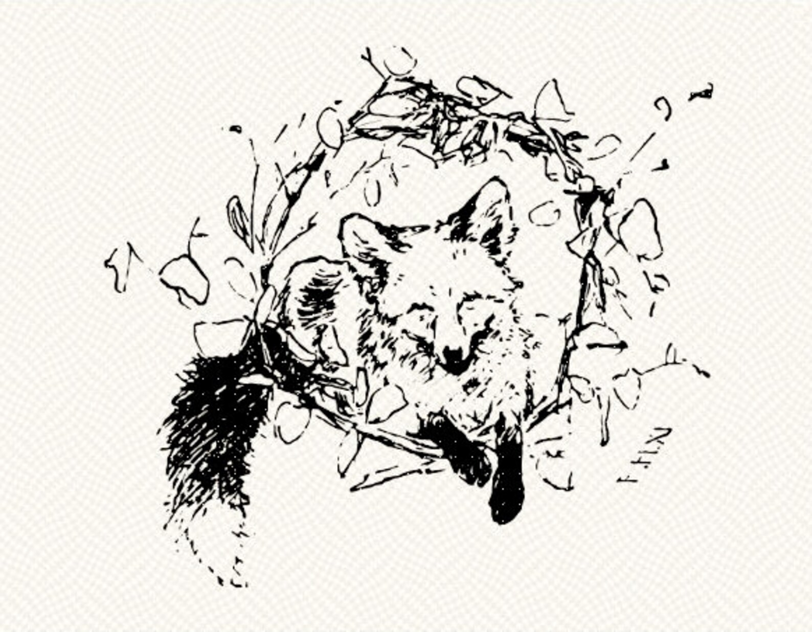 Antique Fox Clip Art Fox Line Drawing Art Printable Fox Image - Etsy