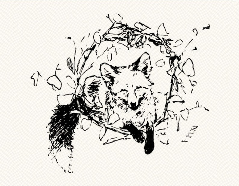 Antique Fox Clip Art Fox Line Drawing Art Printable Fox Image - Etsy
