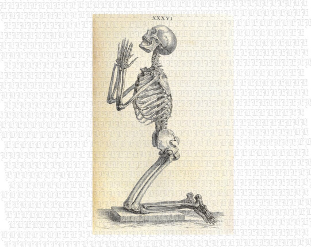 Skeleton Prayer Bone Anatomy Digital Vintage Graphics Antique - Etsy