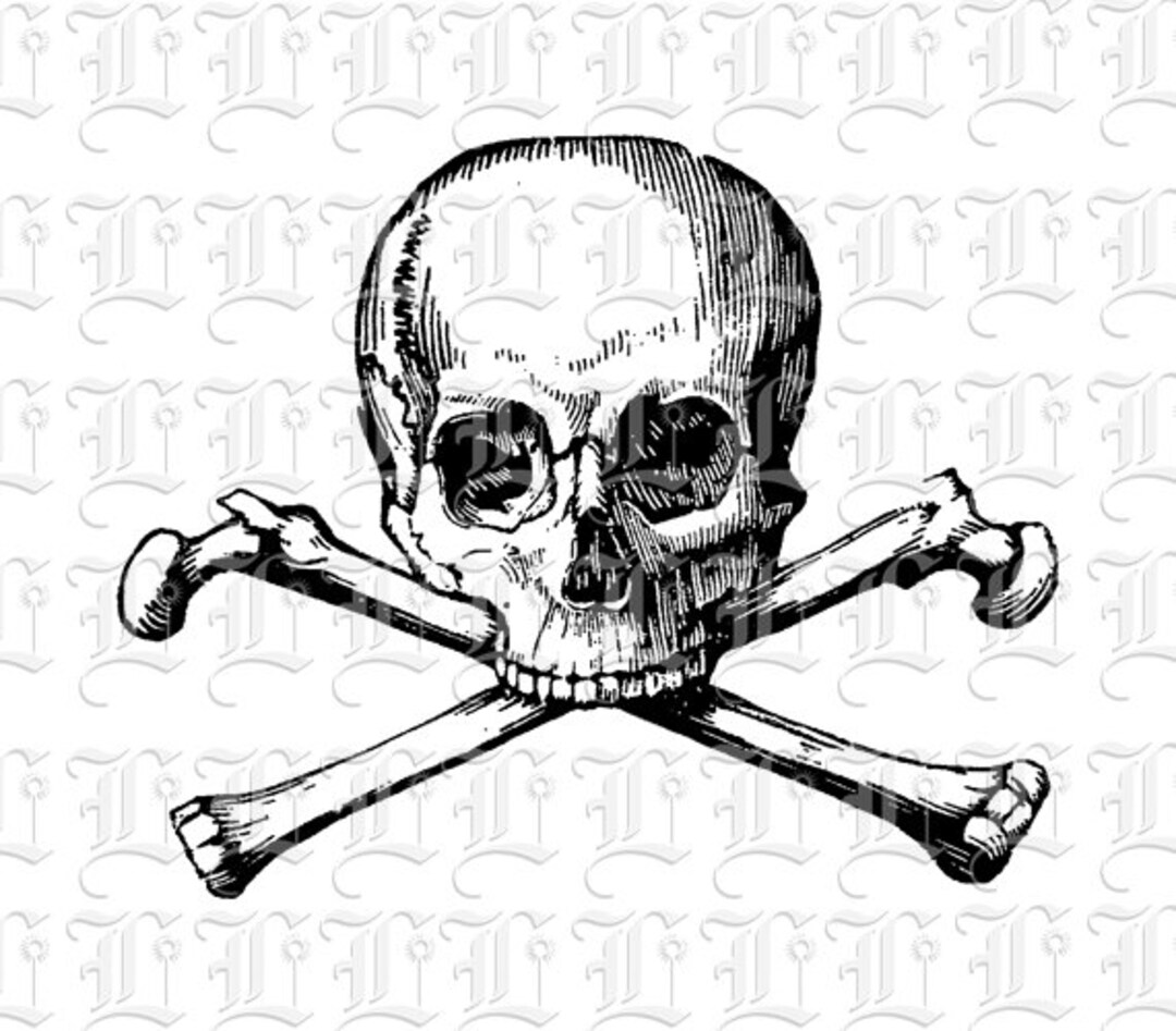 Poison Skull Image Digital Skull Graphic Illustration - Etsy