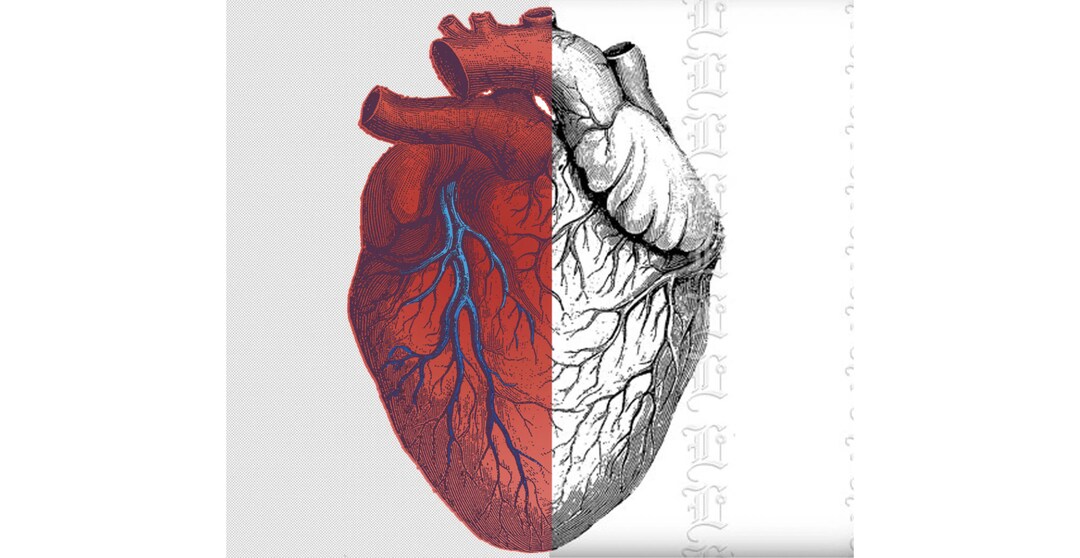 Coloured Heart Anatomy Printable Digital Image 300 Dpi Free Commercial ...
