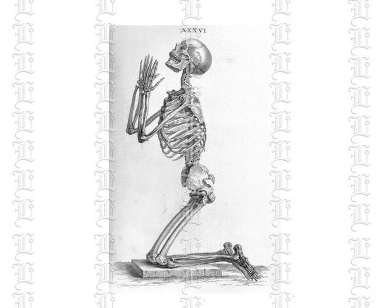 Skeleton Prayer Bone Anatomy Digital Vintage Graphics Antique - Etsy
