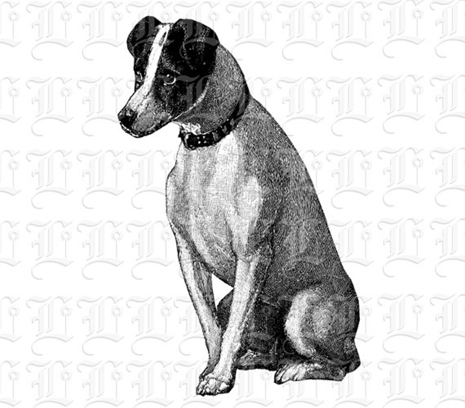 Digital Terrier Dog Image Printable Graphic Illustration - Etsy