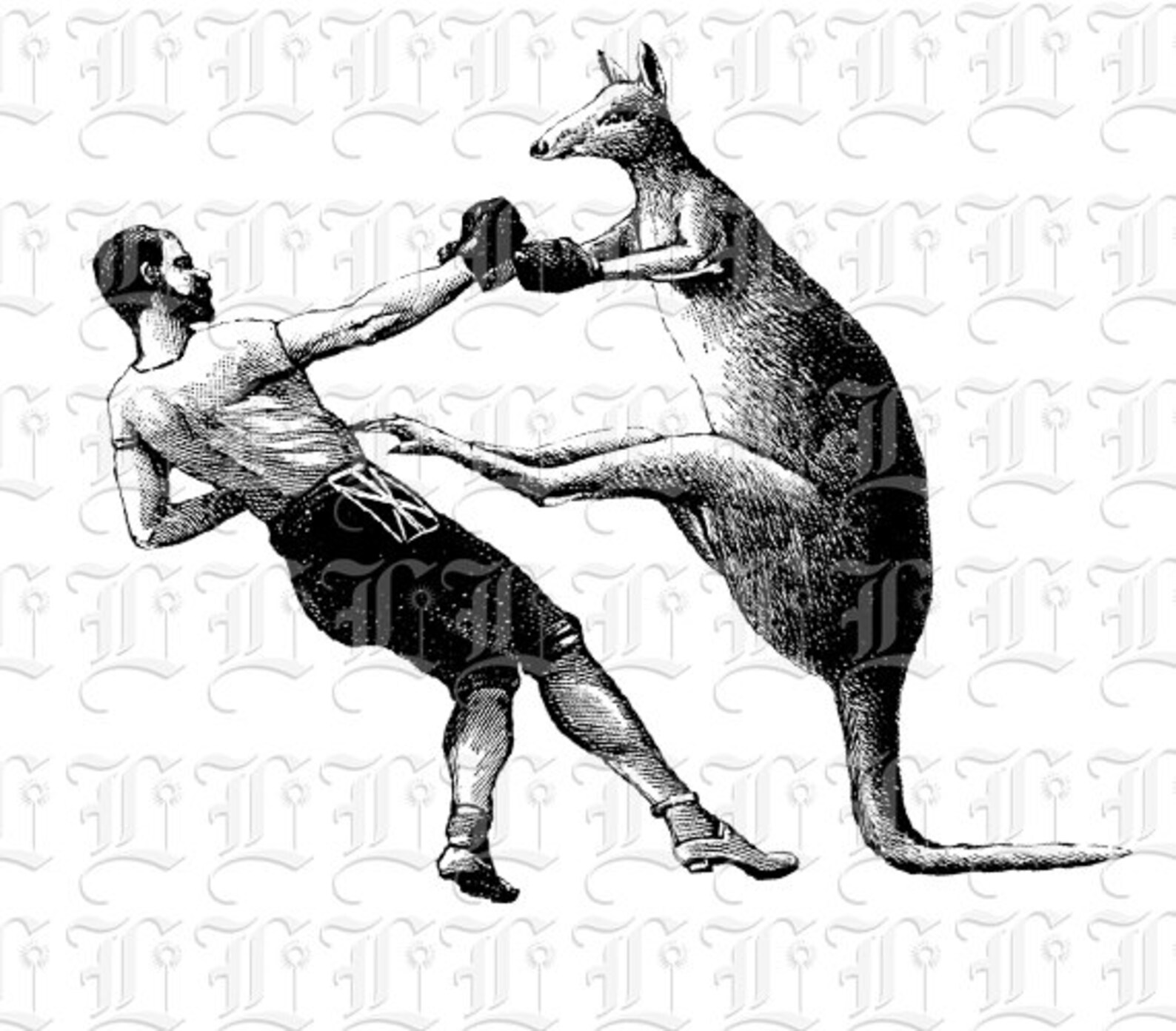 Kangaroo Fight Printable Victorian Circus Vintage Clip Ar High Quality ...