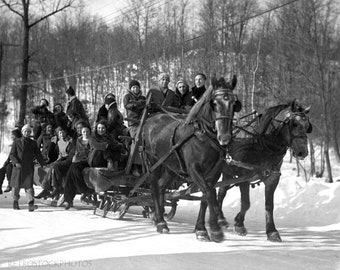 Horse and Sleigh, 1935. Vintage Photo Reproduction Print. Black & White ...