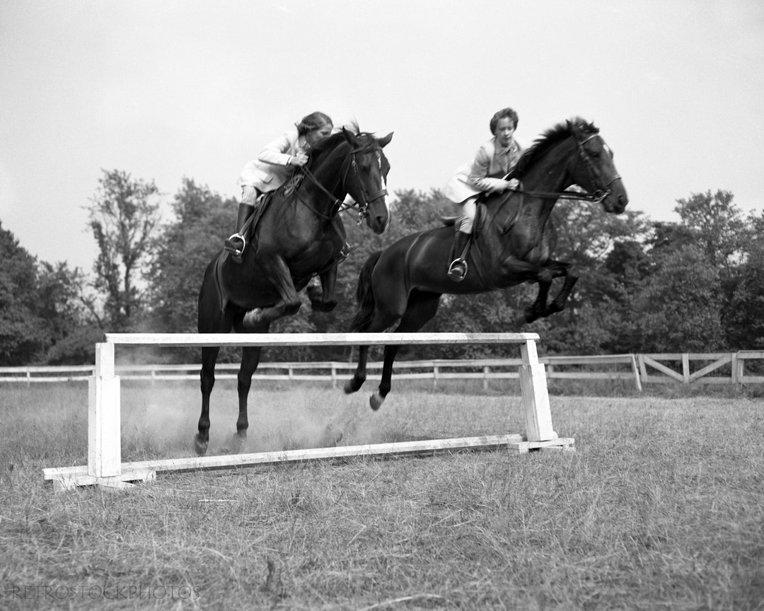 Equestrian Photo Print Wall Art Vintage 1950's Horse - Etsy