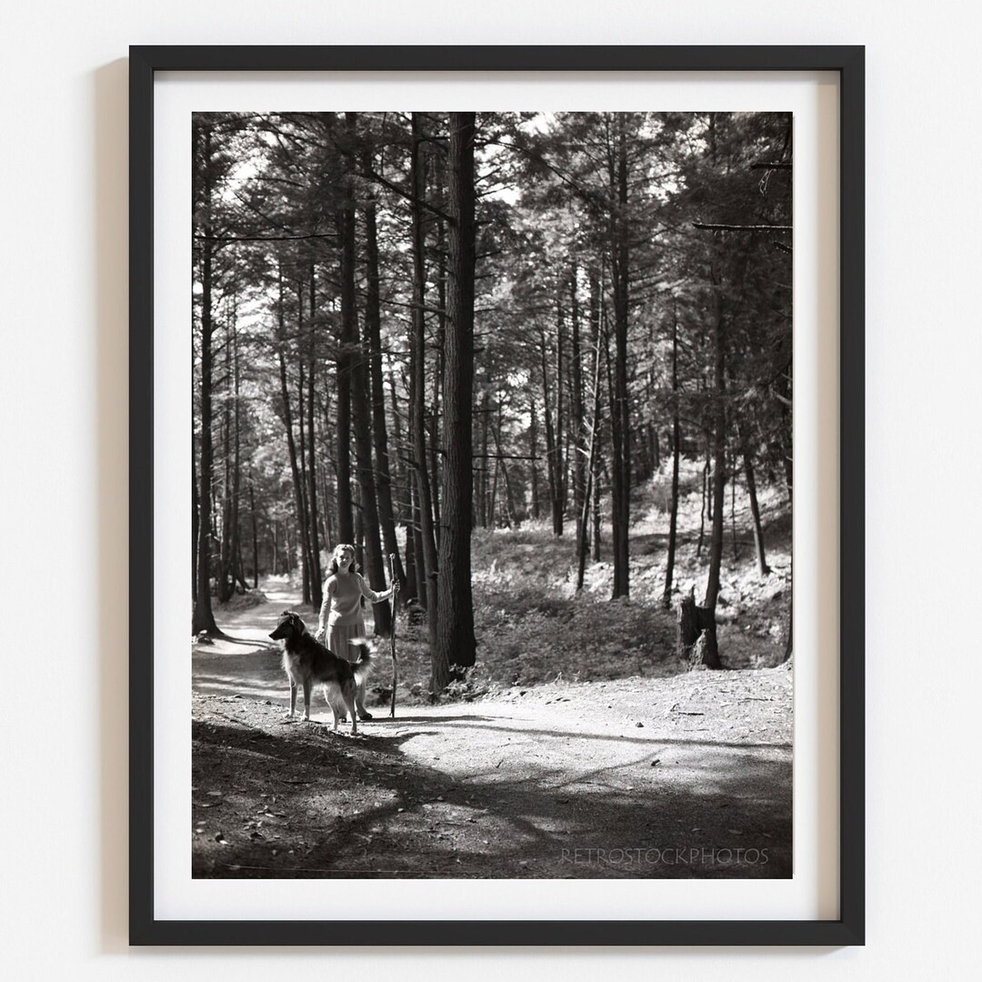 Rustic Art, Unique Country Home and Cabin Decor, Vintage Black and ...