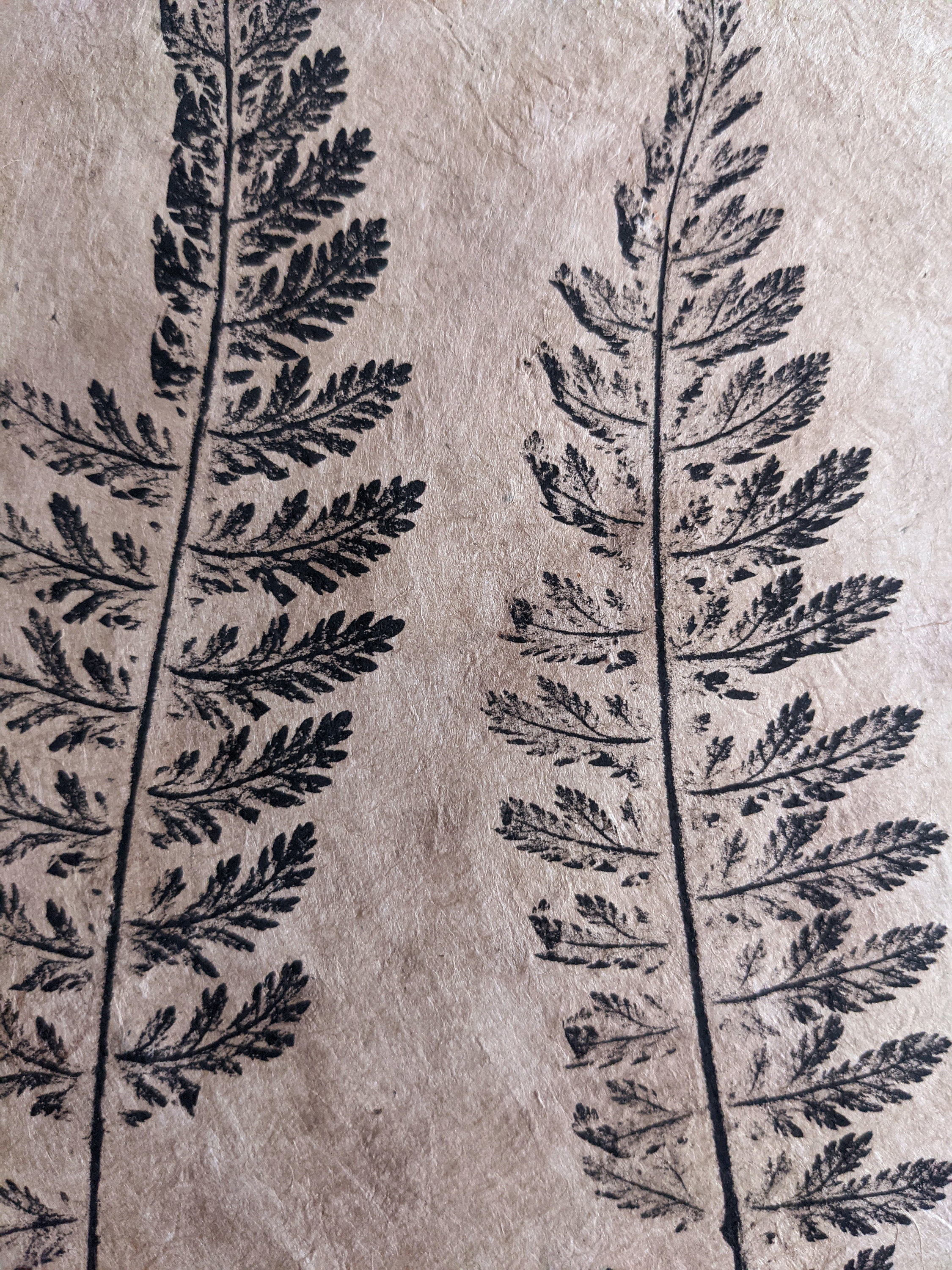 Yarrow Leaf, Monotype on Handmade Paper - Etsy