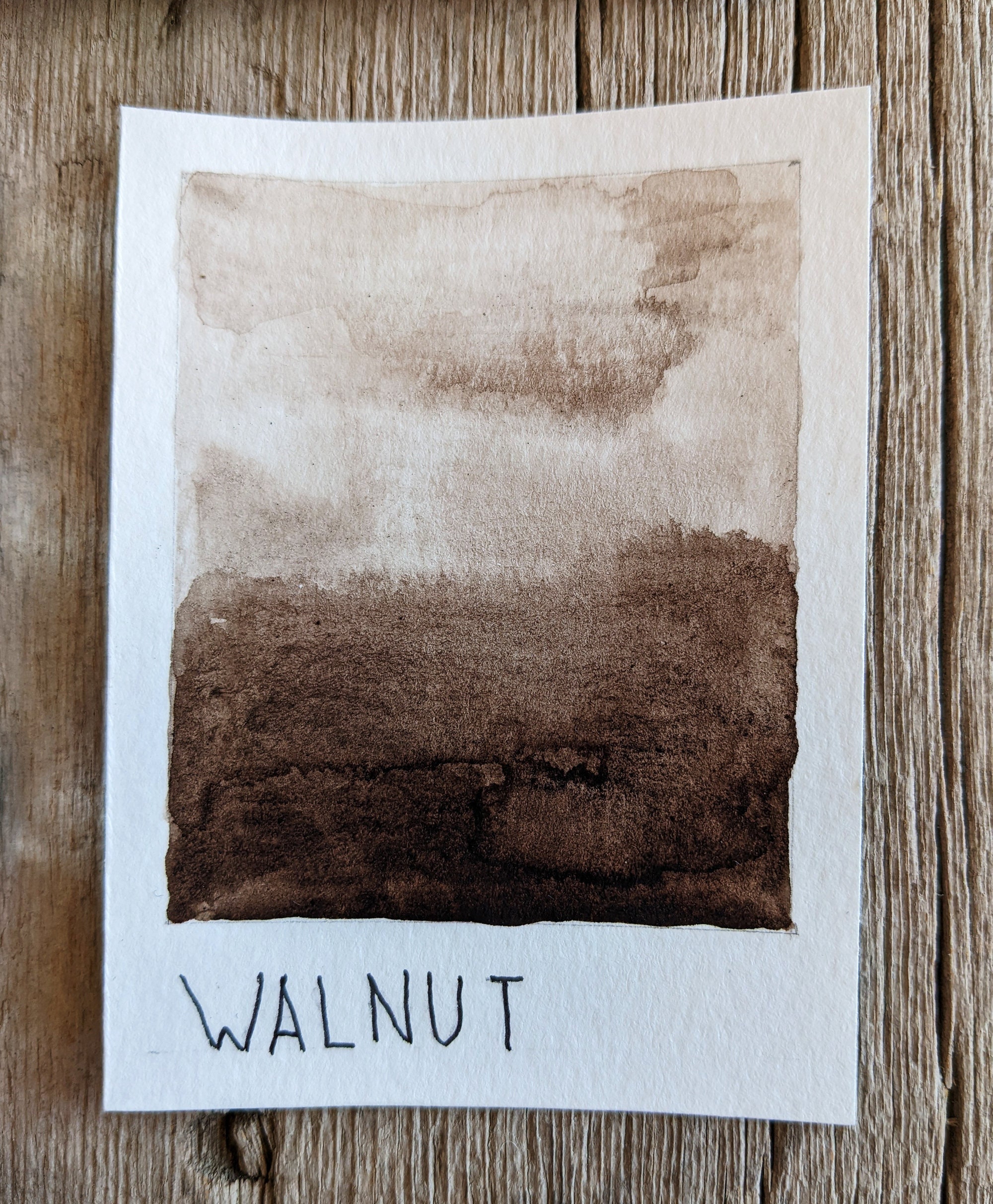 Walnut, Handmade Watercolor Paint, Half Pan - Etsy