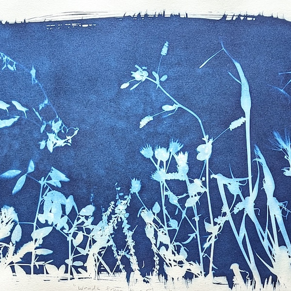 Cyanotype Cards - Etsy UK