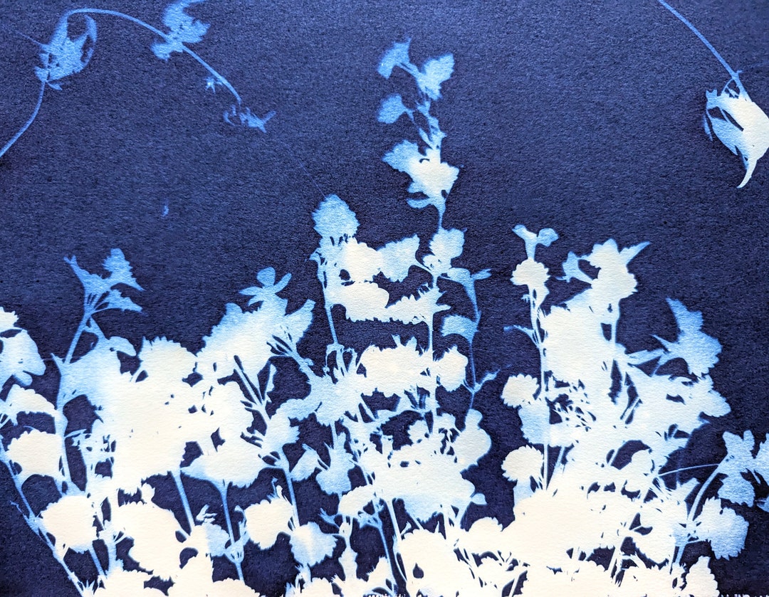 Summer Garden II, Cyanotype Print - Etsy