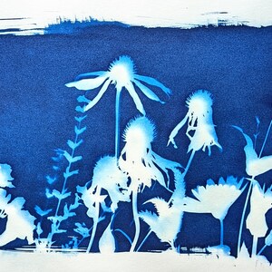 Summer Garden III, Original Cyanotype Print - Etsy