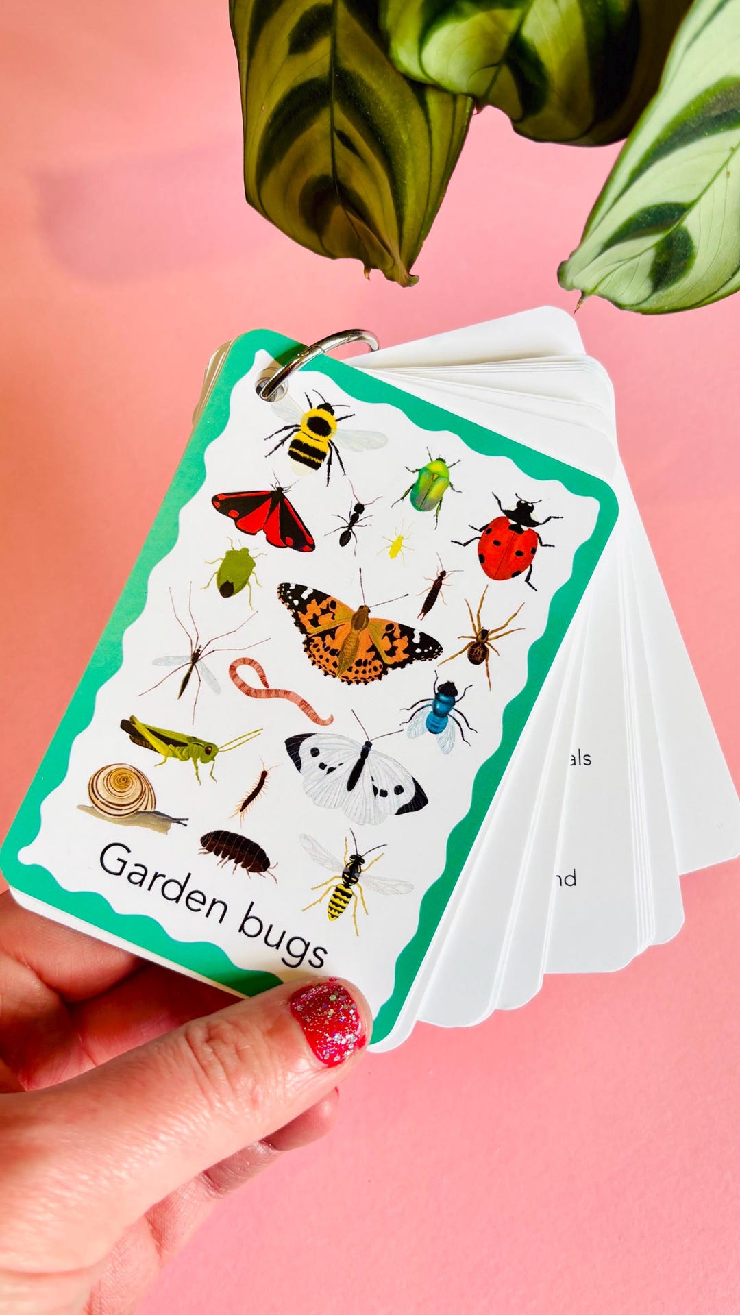Bug Hunting Educational Flashcards Printable-educational Science Nature ...