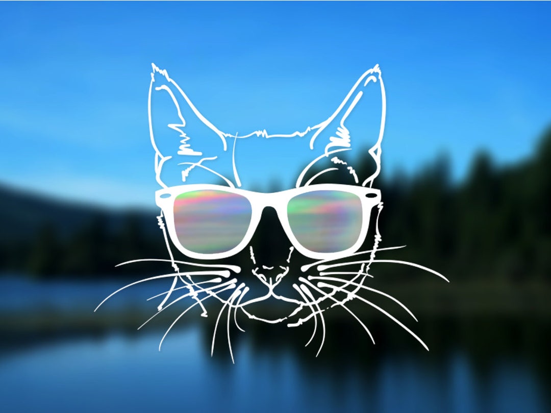 Cat Decal, Vinyl Decal, Car Decal, Bumper Sticker, 5" Decal - Etsy