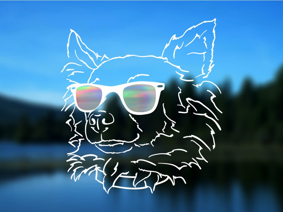 Chihuahua Decal, Long Haired, Dog, Vinyl Decal, Car Decal, Bumper ...