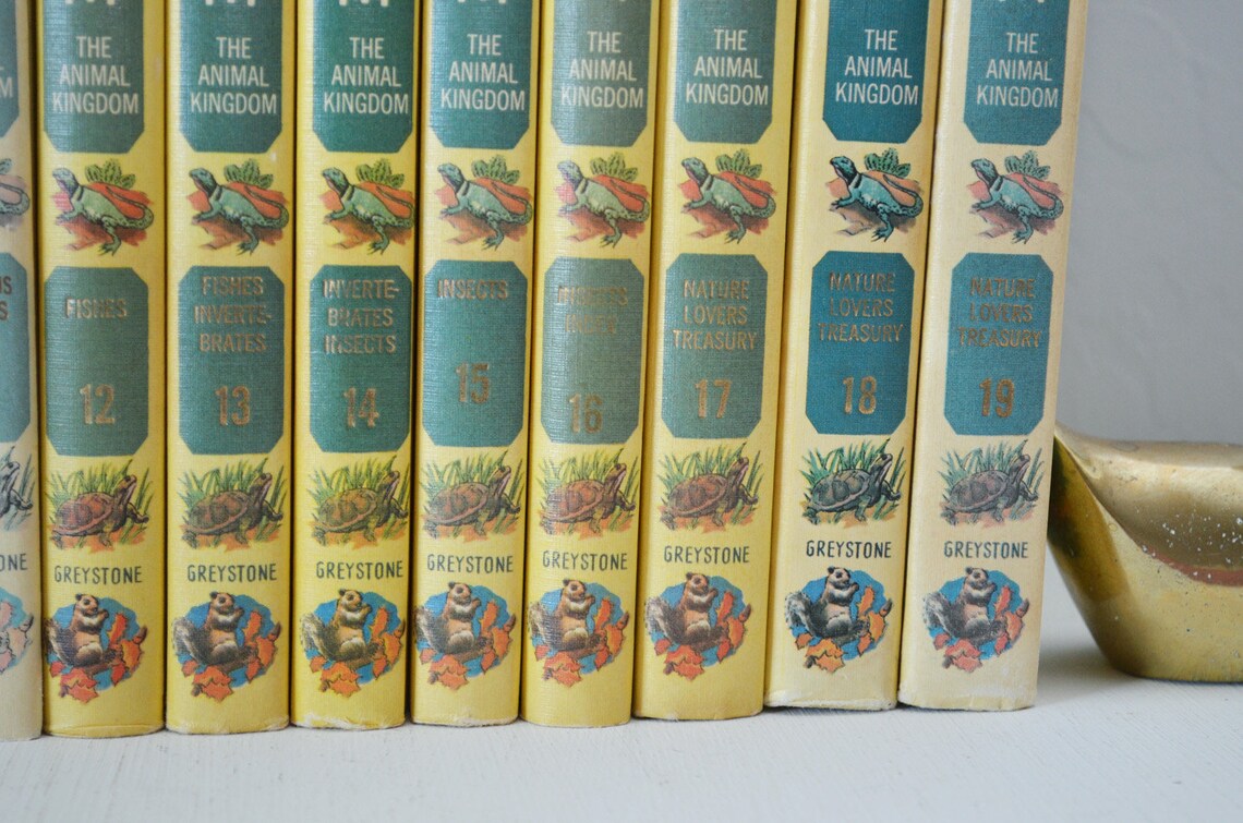 The Illustrated Encyclopedia of Animal Life Encyclopedia Set | Etsy