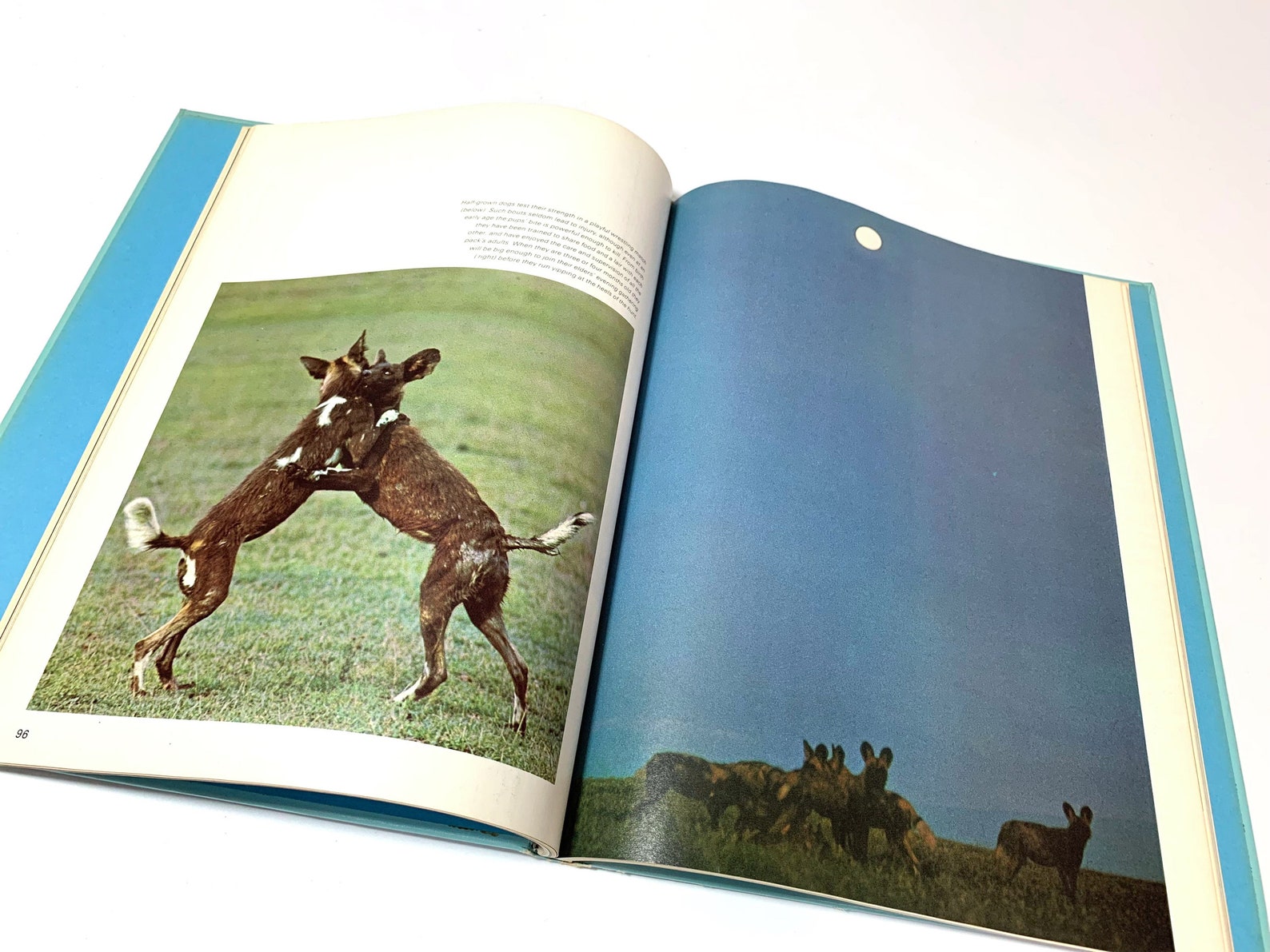 Time Life Books: Nature/science Annual - Etsy