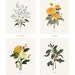 Custom Birth Flower Painting - Etsy