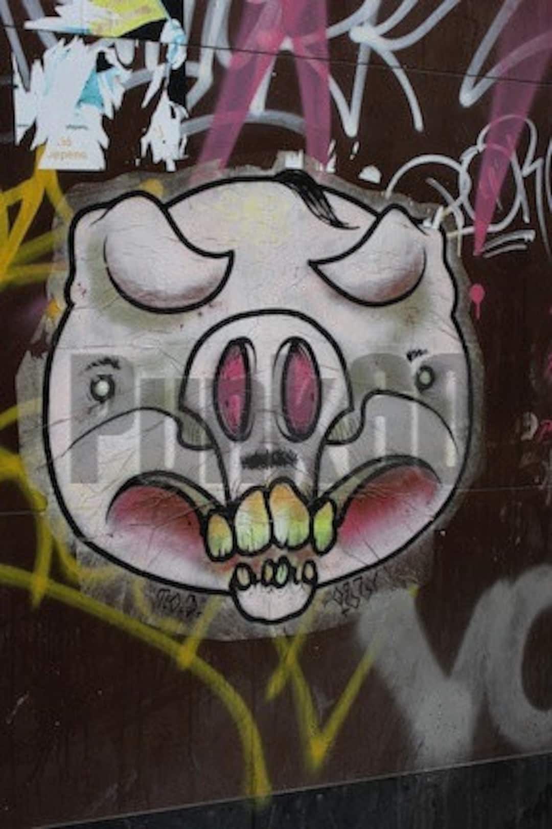 Urban Street Art Photograph PIG Graffiti Fine Art Print Photography ...