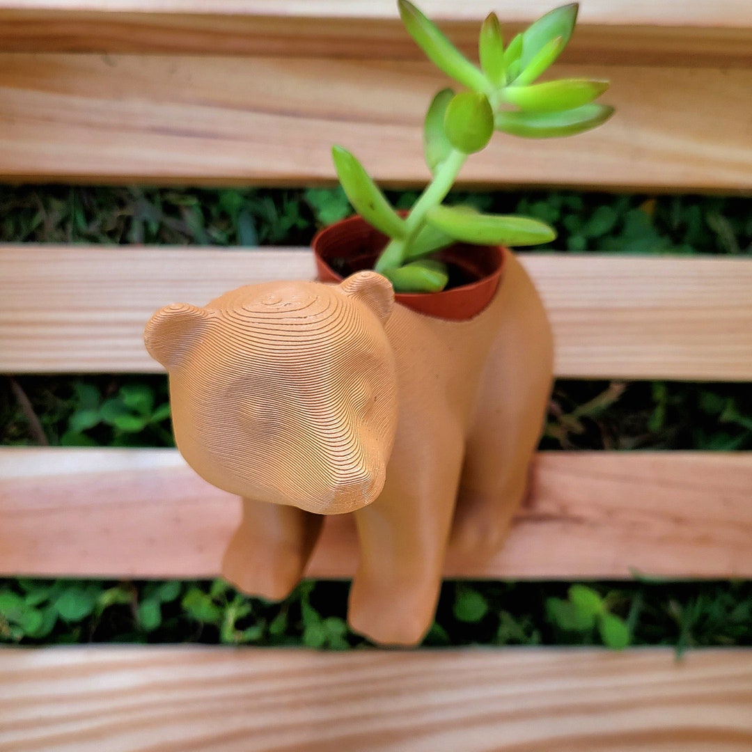 Bear Succulent Planter | Polar Bear| Live Succuelent Planter | Brown ...