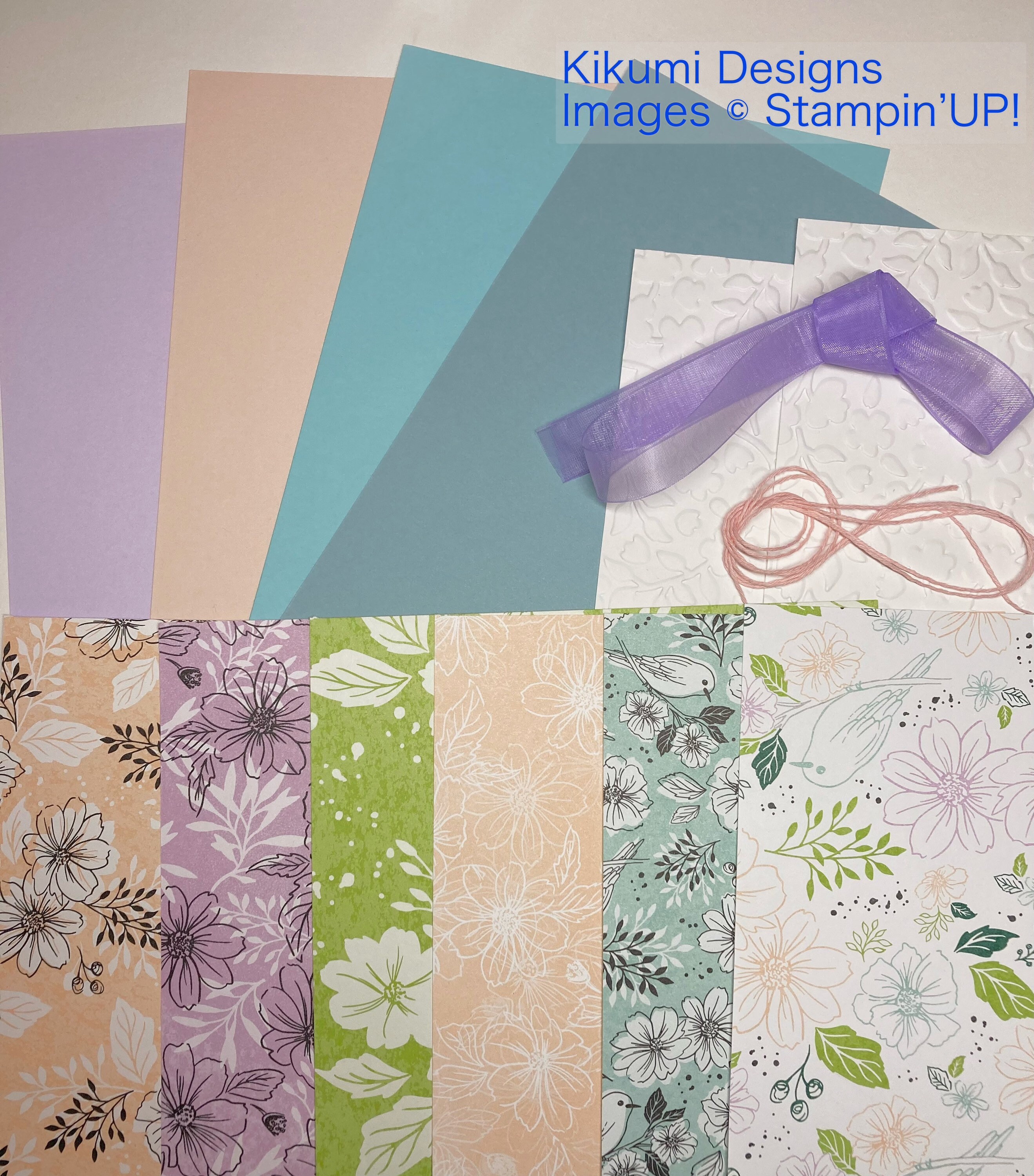 Friendly Hello DSP Sampler DIY Card Making Kit: Floral Birds Stampin'up ...