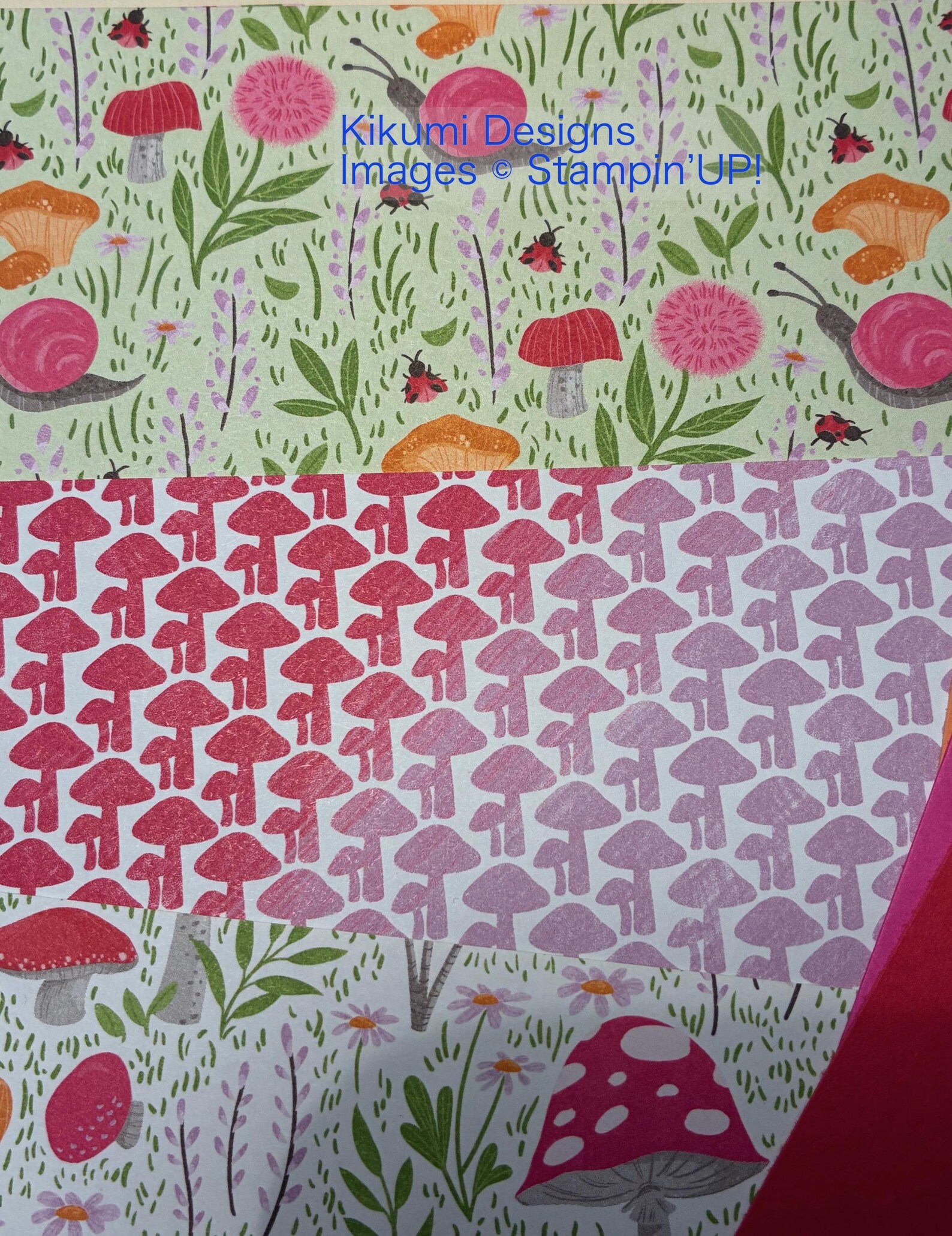 Toadstool Gardens DSP Sampler: DIY Card Making Kit (6x6") Stampin'up ...