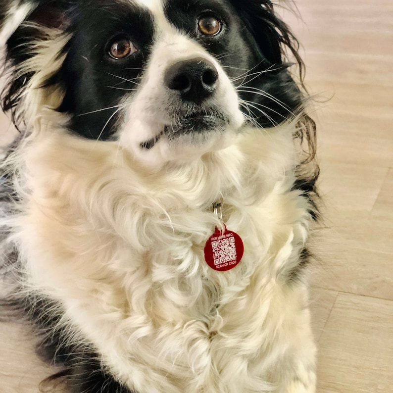 QR Code Id Dog Tag, Scannable Id Tag, QR CODE Pet Tag, Engraved Dog ...
