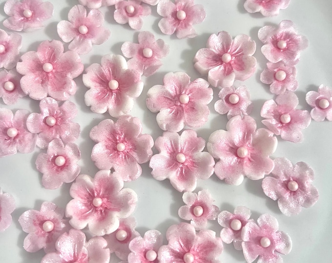 Edible Fondant Cherry Blossom Cupcake Toppers: Pearl Dust Flowers, 30 ...